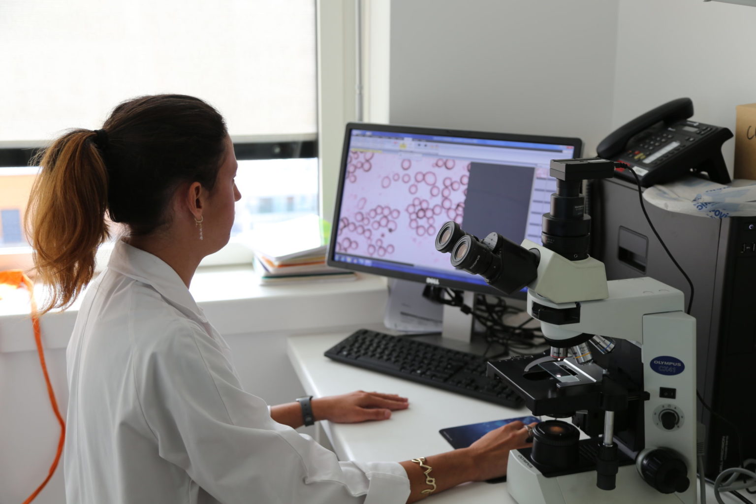 Centre de Ressources Biologiques (CRB) IHU ICAN BioCollection